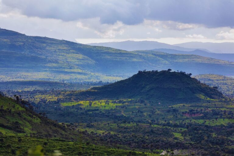 Conakry Travel Guide (Guinea): Food, Music & Island Excursions ...