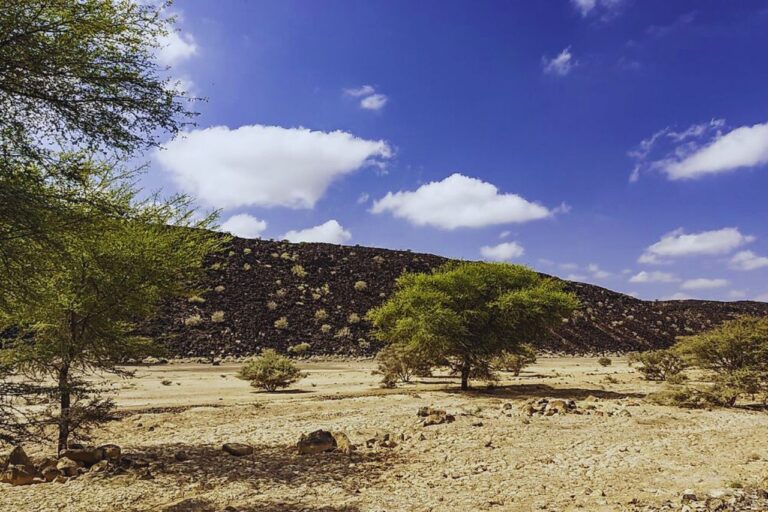 10 Of The Most Incredible Deserts In Africa - Travelanders